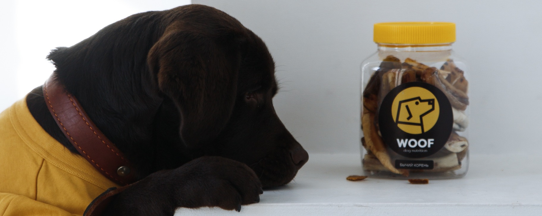 WOOF.FOODS натуральные лакомства для собак | Натуральные лакомства для ...