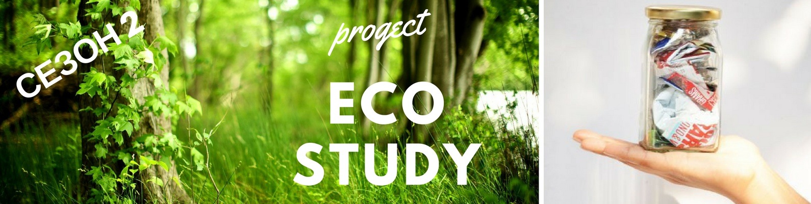Проект Eco study | Жизнь в стиле эко | Тюмень | Проект Eco study - это ...