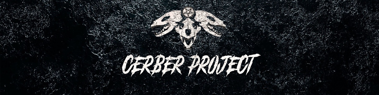 CERBER PROJECT 2025 | ВКонтакте